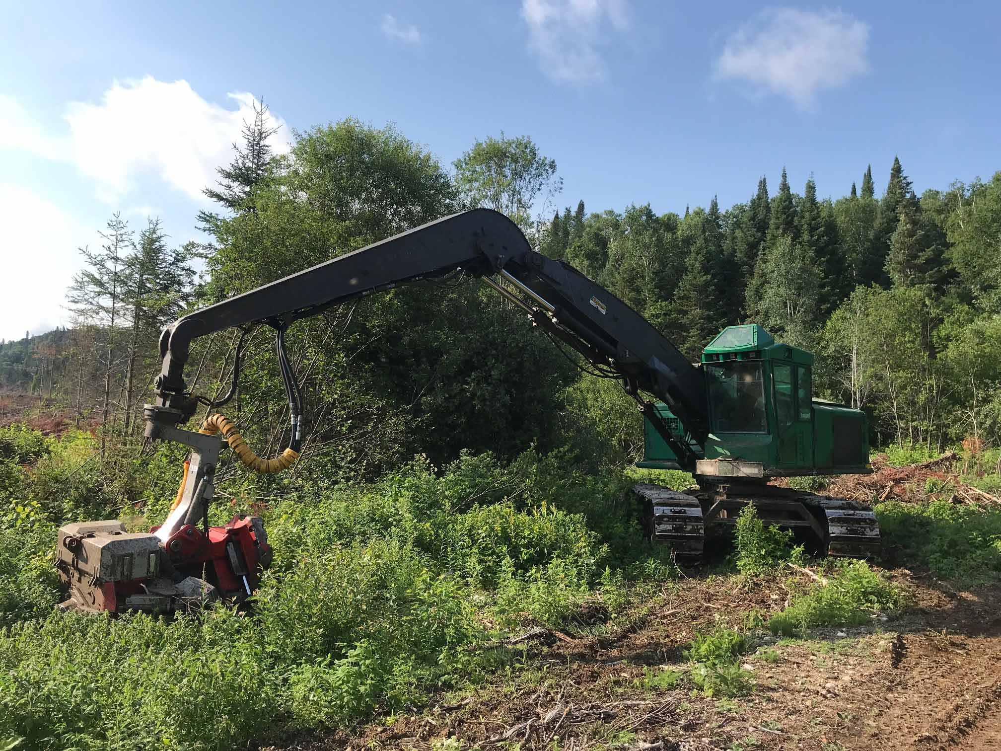 Control and reading system for forestry machinery - Magnéto